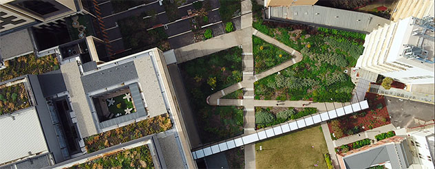 New Bendigo Hospital opens - leading the way in design and technology ...